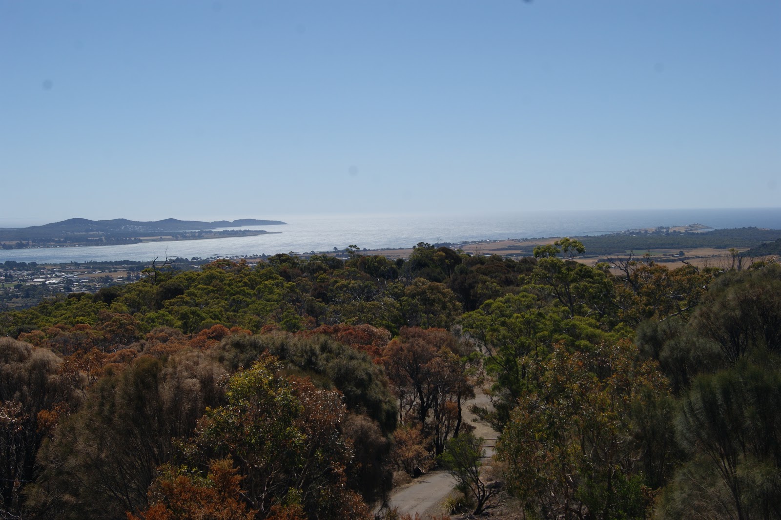 On The Convict Trail: Tamar Valley Semaphore System