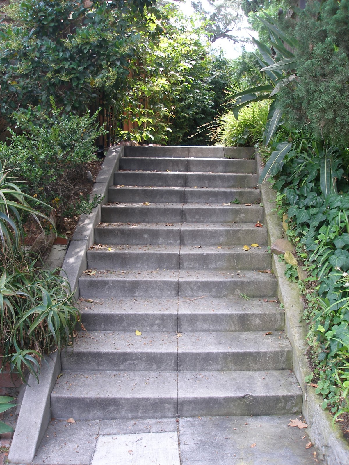 Los Angeles: Climbing the Hidden Stairways: Staircases in Hollywood