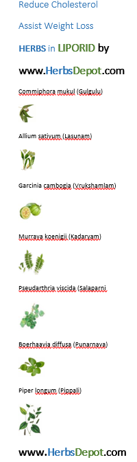 100% Herbal Natural Supplements