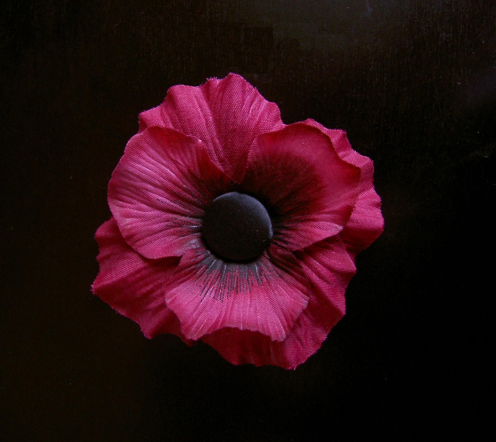 Little Daisy's Boutique: Flowers