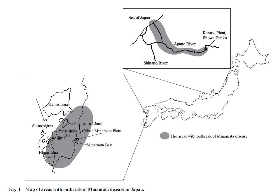 Minamata Bay Map