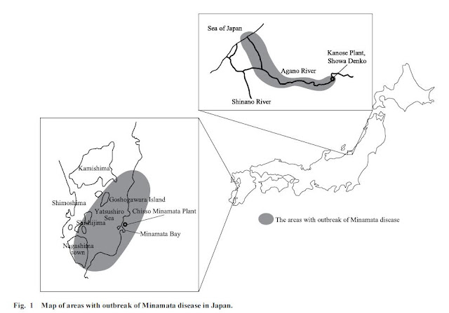 Mercury Poisoning in Minamata, Japan - What happened...?: Introduction ...