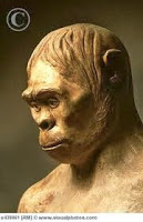 Sejarah Indonesia dan Dunia: Manusia Purba di Indonesia dan Dunia