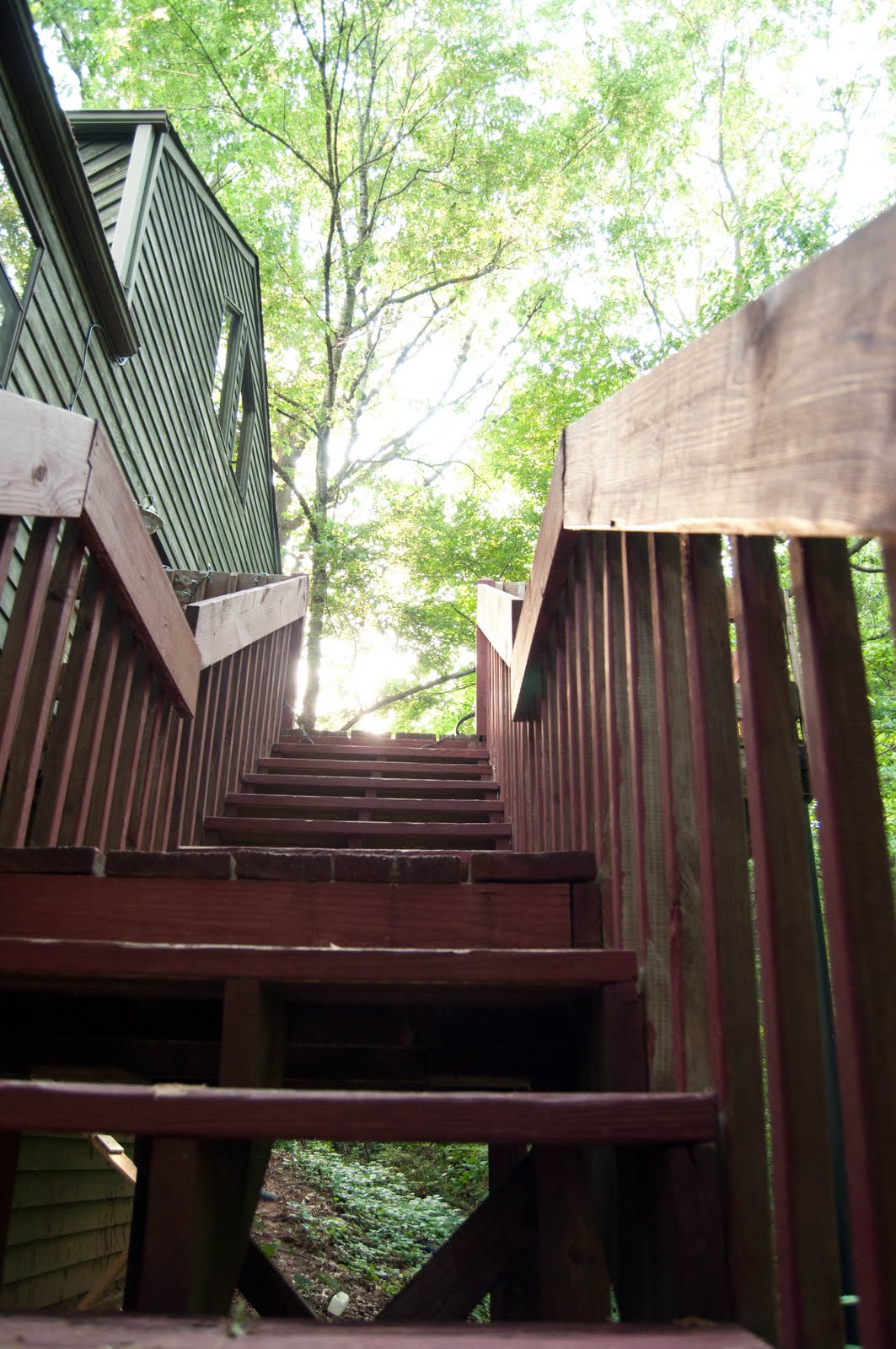 Inspiring Modern Tree House - HOME CONCEPT