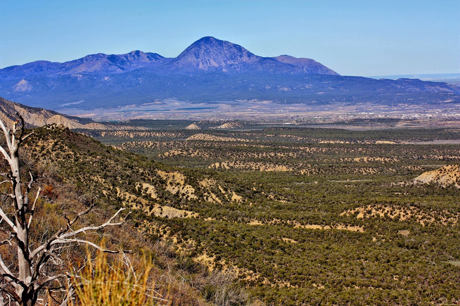 The Southwest Through Wide Brown Eyes: Mesa Verde Springs Alive!