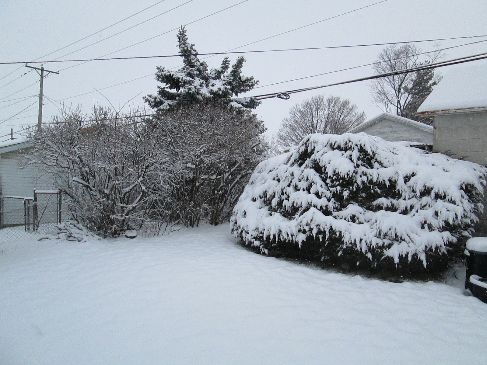 Up Around the Corner: Spring Snow in Ohio, Again