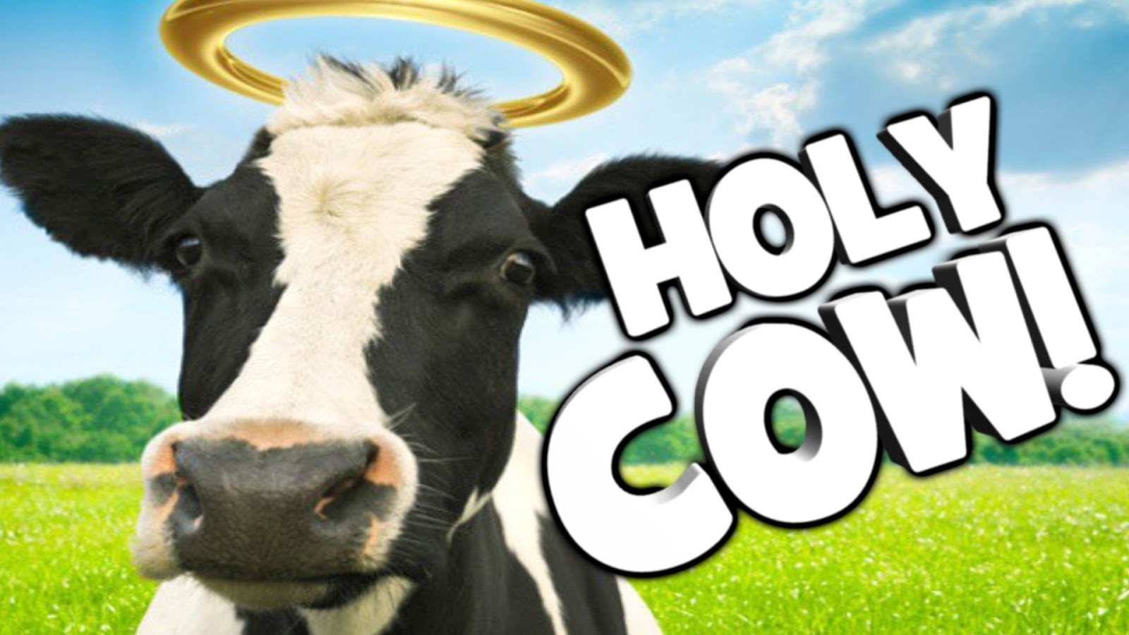 Recenzie: „Holy Cow" - David Duchovny - Gânduri despre cărți
