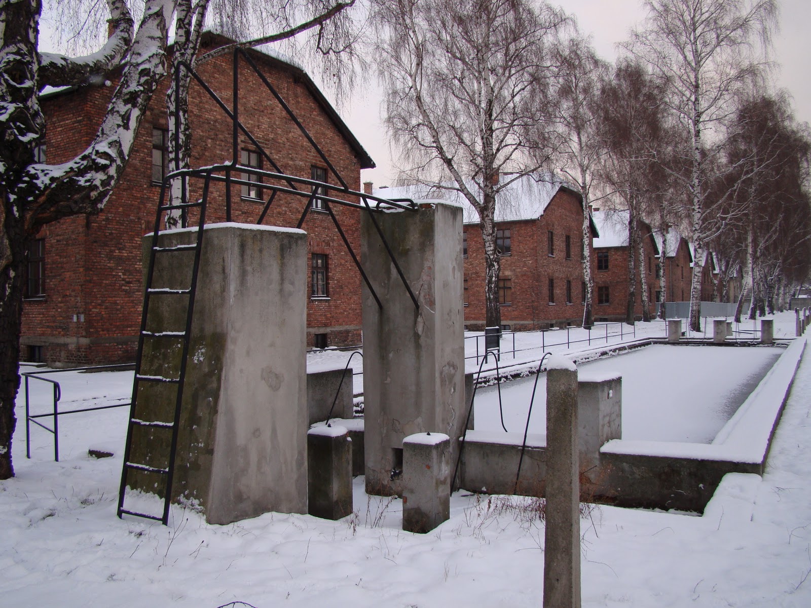Auschwitz 2012: Auschwitz 1: The Swimming Pool