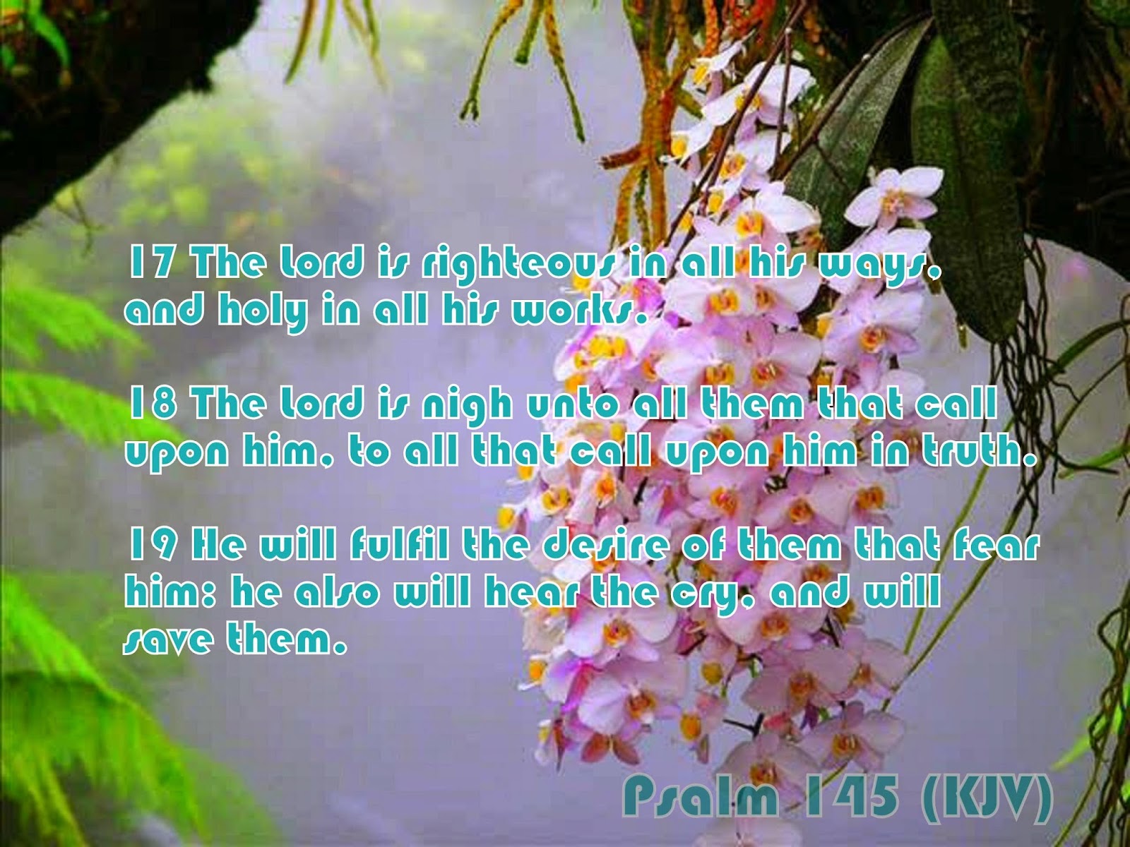 Red Pill Diaries: Psalm 145 (KJV)