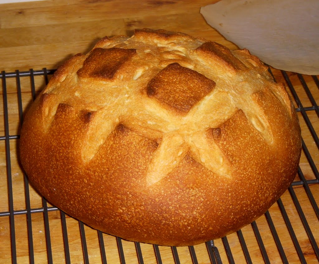 The Baritone Bread Log: Bread Log 9: Semolina (Durum) Bread