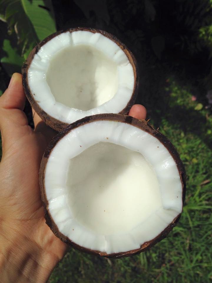 BKN: Cómo escoger un buen coco