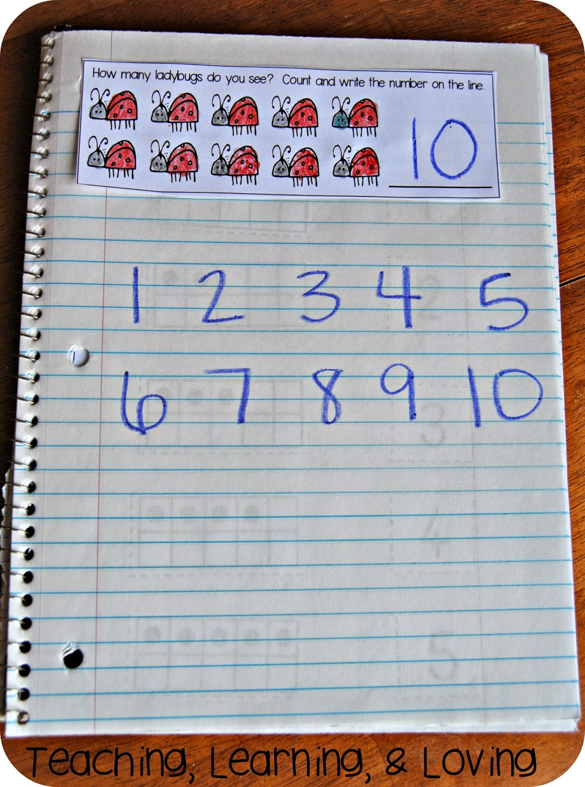Teaching, Learning, & Loving: Interactive Math Journals for Pre-K