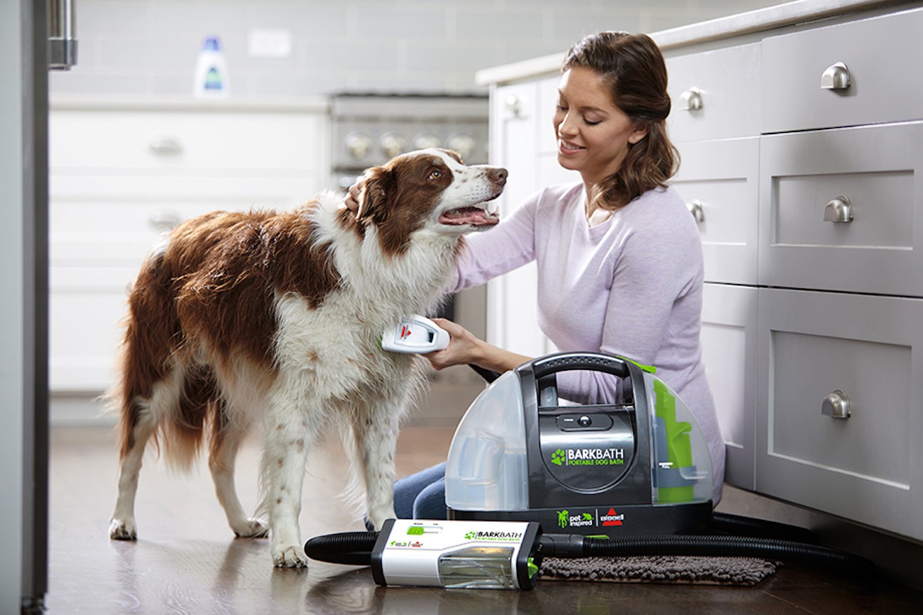 Bissell BarkBath Portable Dog Bathing Unit - Tech News 24h