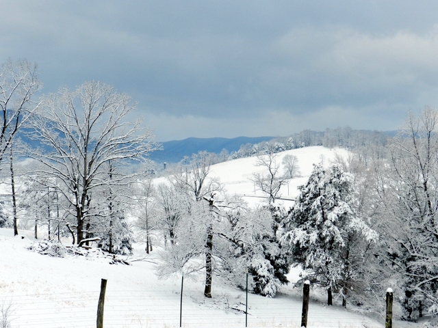Blue Country Magic: More Snow Photos