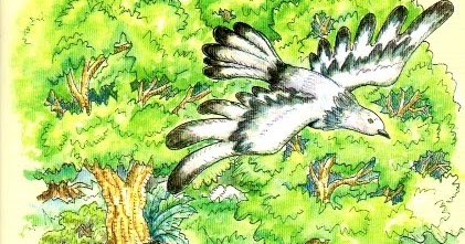 Pigeon Post: A Book About Animals For Kids ~ Parenting Times