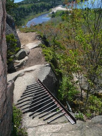 ART IS BEAUTY: Tips on Navigating Acadia National Park