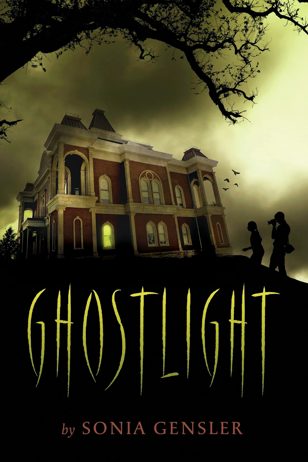 GHOSTLIGHT release date, pre-order details, and COVER! | Author Sonia ...