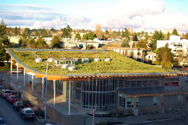 Sustainable Construction, The Journey to the Near Future: Green Roof ...