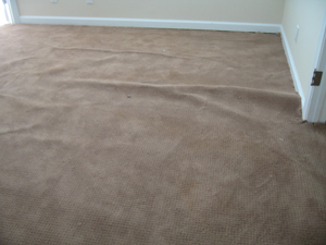 Carpet & Upholstery Cleaning Advice: What Causes Wall-To-Wall Carpeting ...