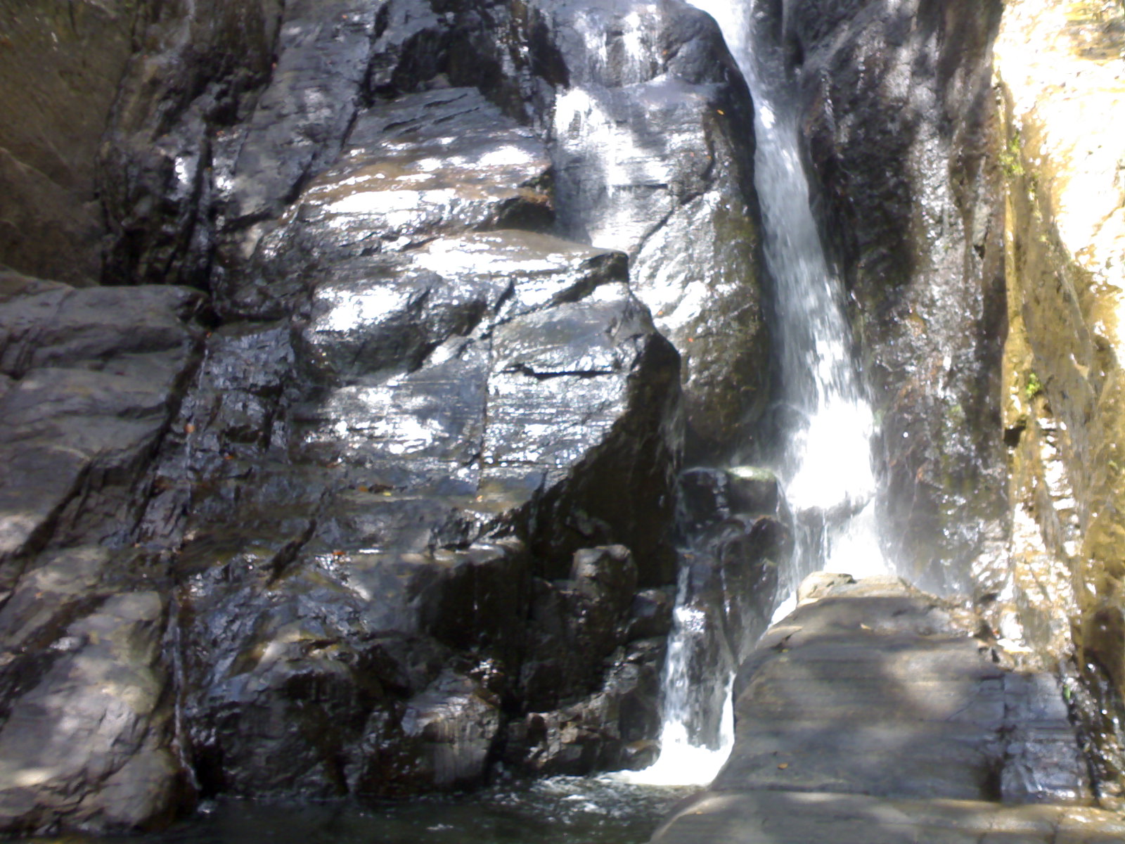 SARELI - සරැළි: Duli Ella fall at Neluwa - දුලි ඇල්ල - සිංහරාජ රක්ෂිතය.