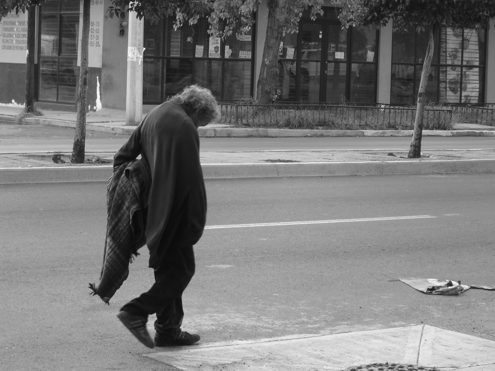 Deshojando el Invierno