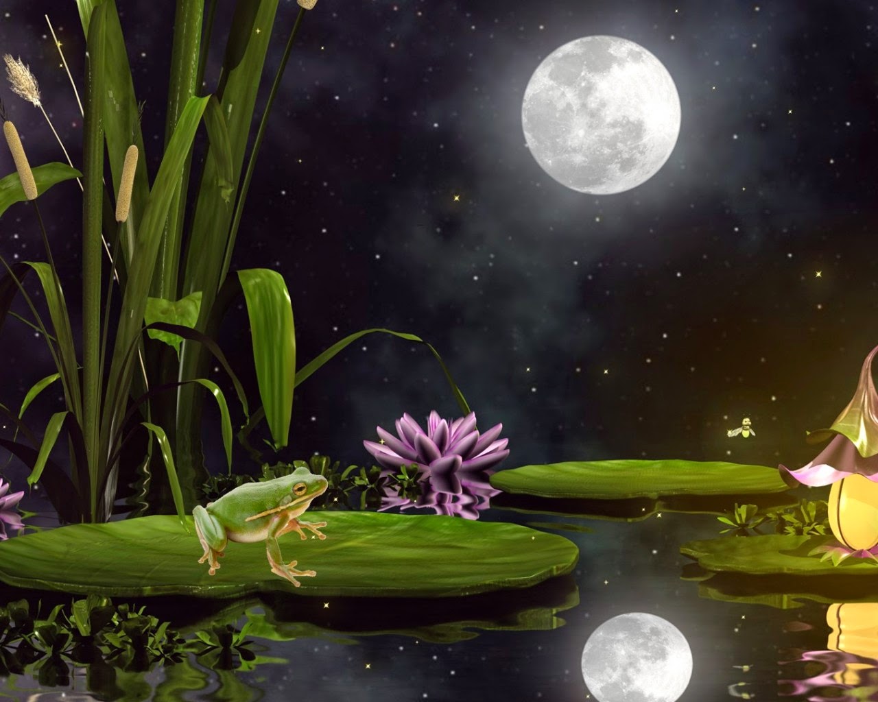 The Mindful Perceptron: 2014