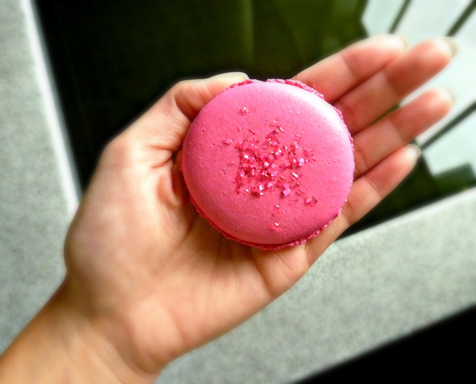 The Sweet Baker: Giant Macarons and Sweet Facts