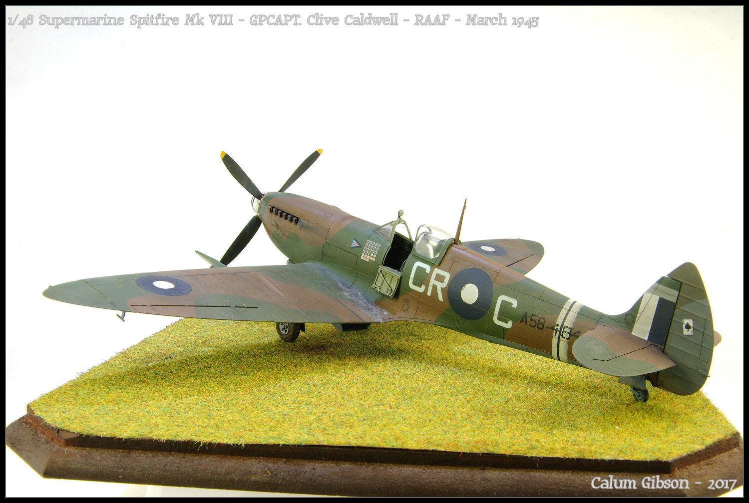 The Hamfisted Modeller: 1/48 Supermarine Spitfire Mk VIII GPCAPT Clive ...