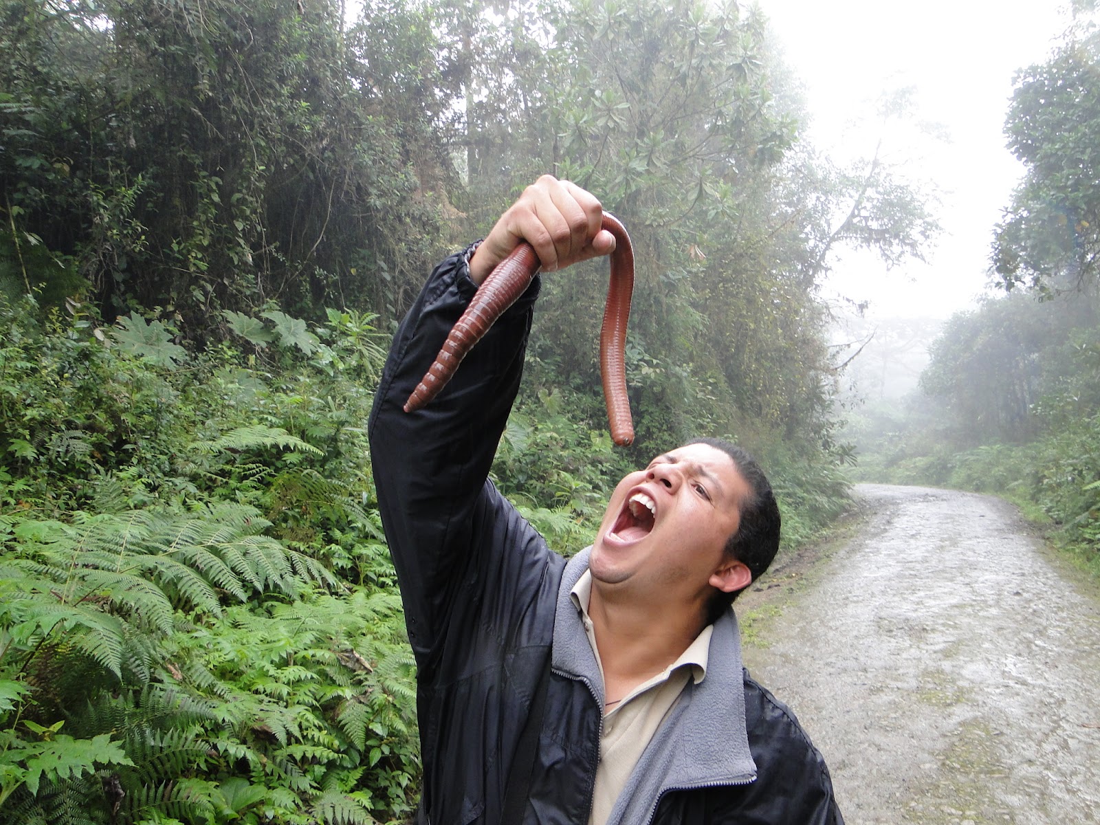 5 foot long earthworm found in Ecuador : r/oddlyterrifying