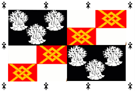 Sam's Ramblings : Irish County Flags