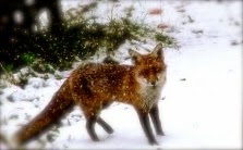 Wunnumin Lake First Nation