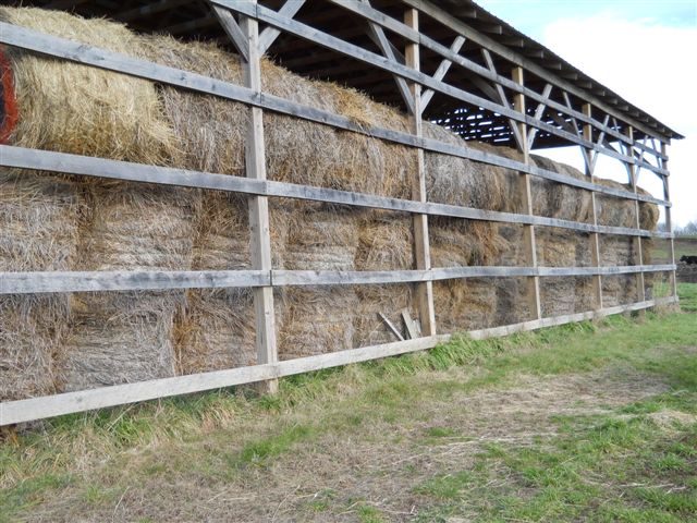 White House Farms 44 4x5 Wheat Hay Baled In The Boot Stage