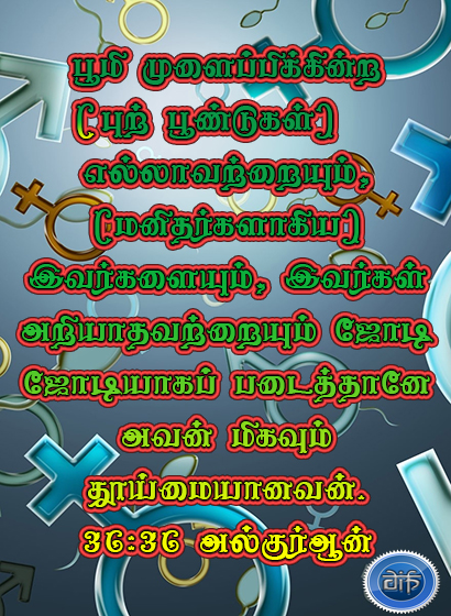 Dinul Islam Paradise: Tamil quran wallpaper ‏ 1