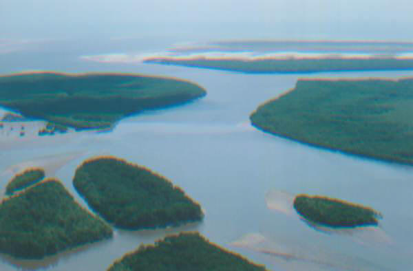 ESTUÁRIOS - IMPORTÂNCIA DOS ESTUÁRIOS