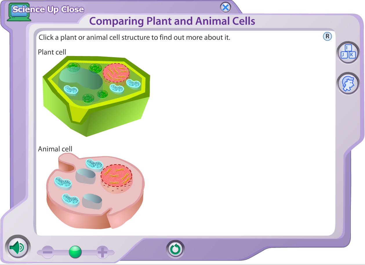 Crea y aprende con Laura: 21 Interactive Cells