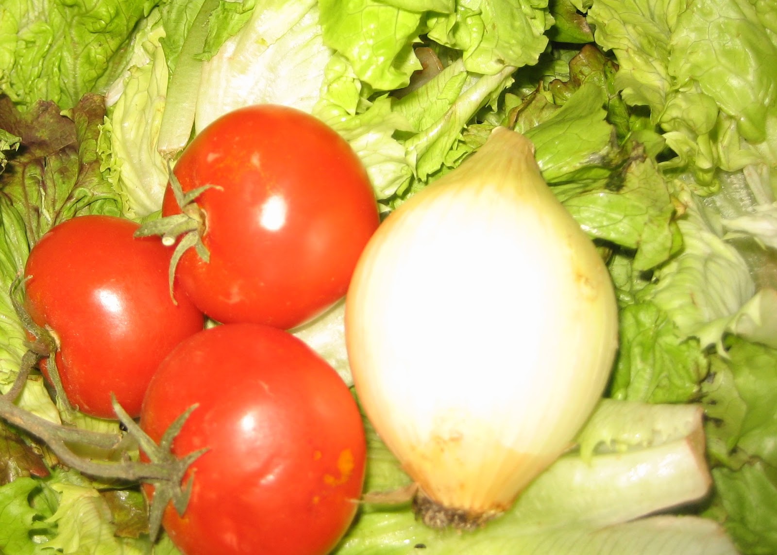 Comer e Saber: CONGRO FRITO