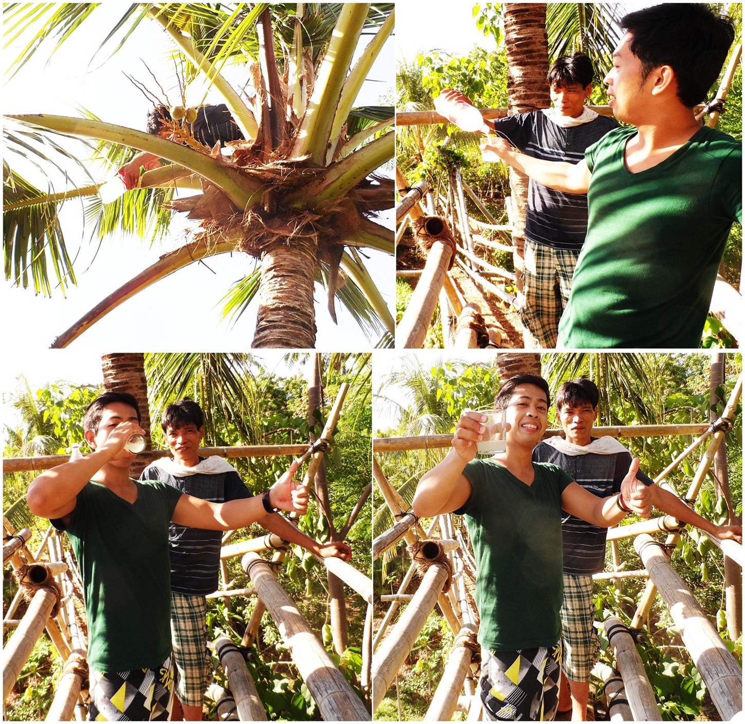 What Michael Likes: Bohol Coco Farm: The Real Ultimate FarmVille