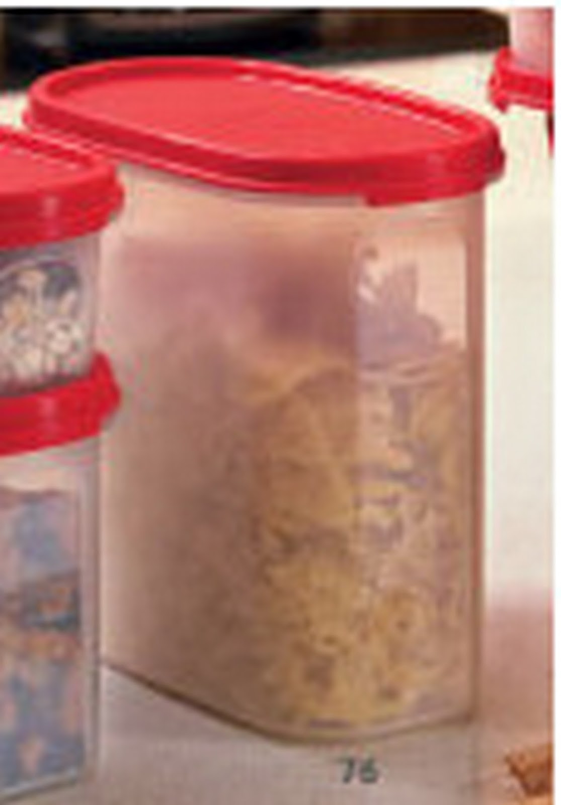 Tupperware MODULAR MATES OVAL 1 - TUPPERWARE INDONESIA