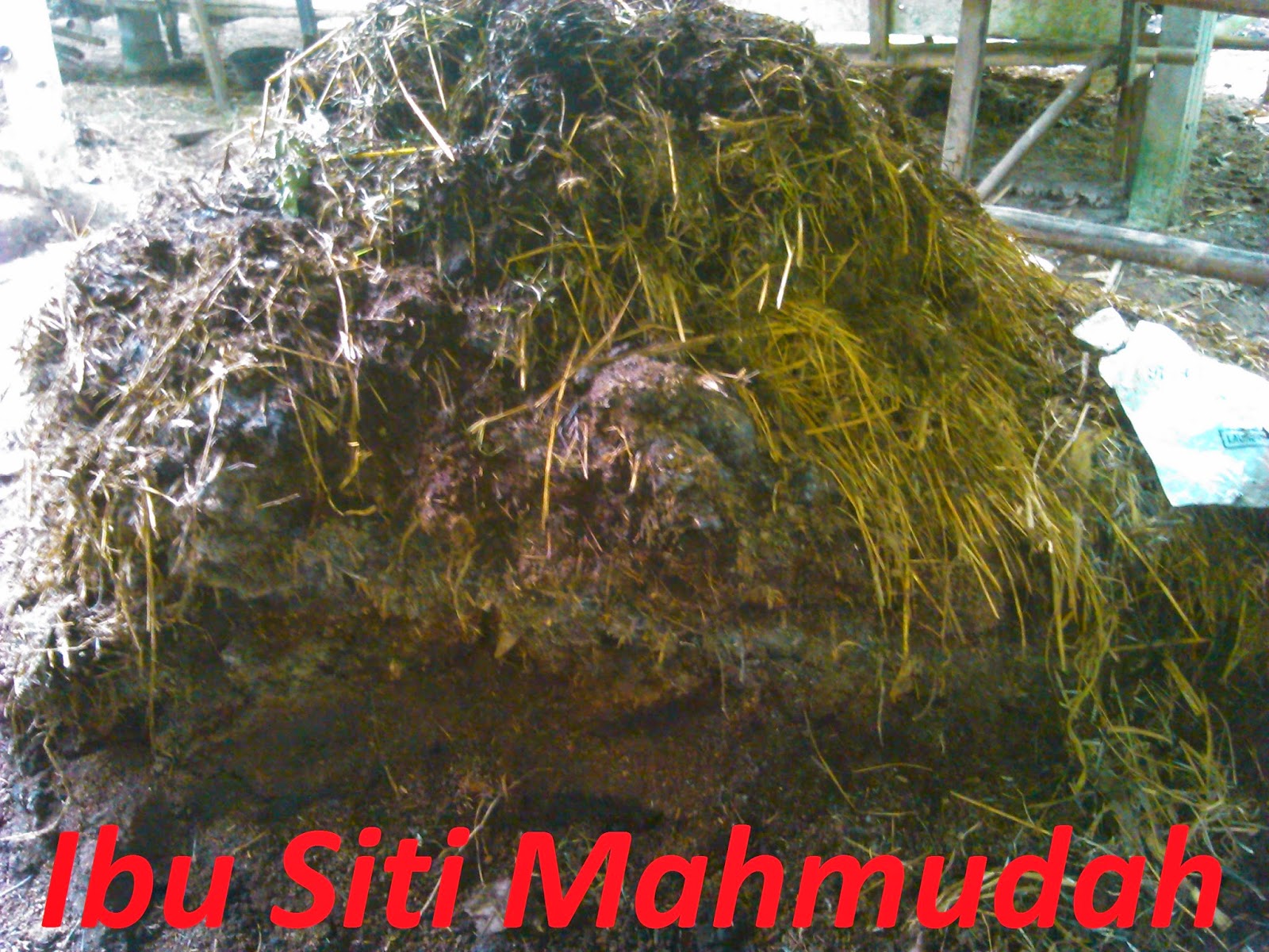 Cara Membuat Kompos dari Sampah Organik untuk Budidaya Sayuran Dalam Karung