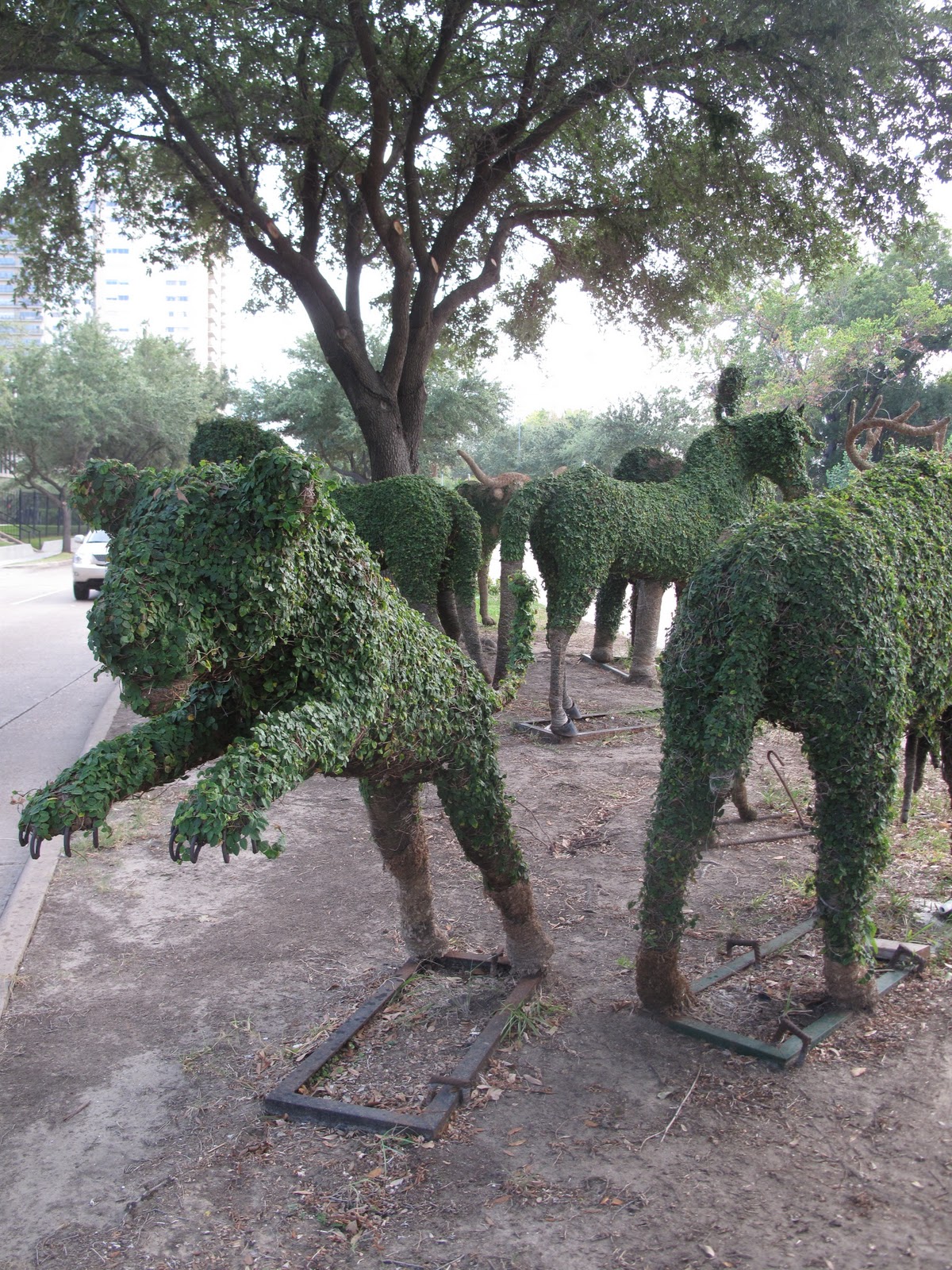A Strong Belief in Wicker: Houston Topiary