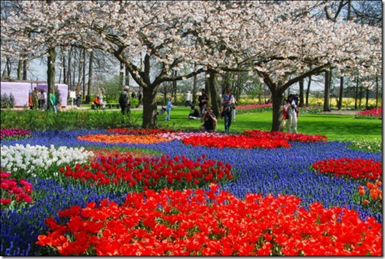 Ayu Putu Prima Septiani' yuppu :)): Melihat Keindahan Kebun Bunga Tulip ...