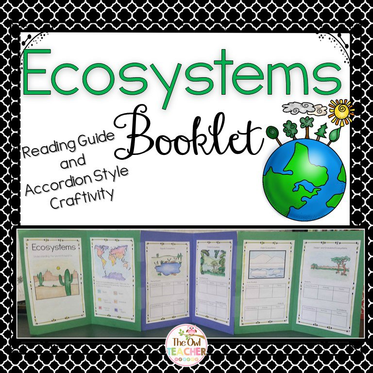 The Best of Teacher Entrepreneurs III: SCIENCE LESSON: Ecosystems Accordion