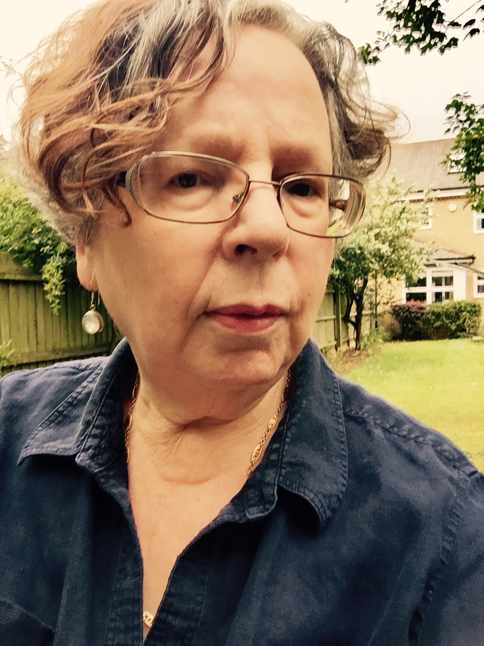 Writers Review: SOME THOUGHTS ABOUT THE NOVEL by Adele Geras