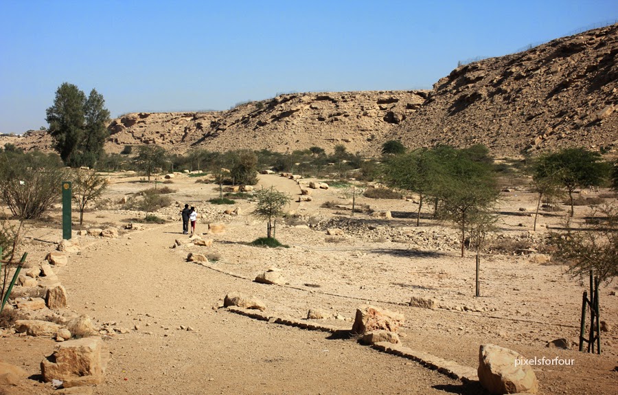 Wadi Hanifah in Winter