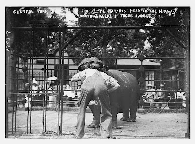 The Circus "NO SPIN ZONE": Vintage Central Park Hippo Keeper ...