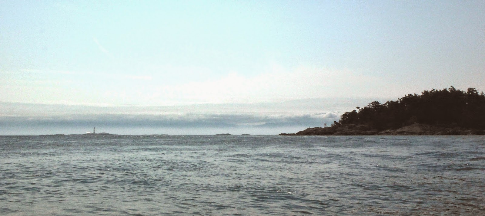 Gecko Paddler: Bentinck Island Playtime