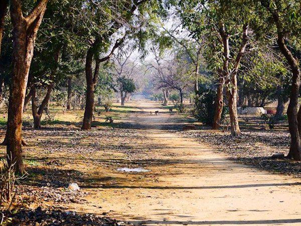 VMA 2.2 :: The divine natural beauty of Vrindavan