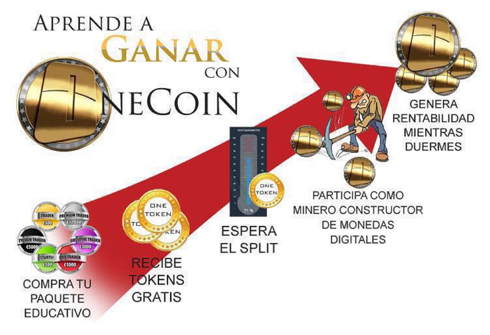 ONECOIN, la Criptoimoneda del futuro!!: ¿QUIEN ES LA FUNDADORA DE ONECOIN?