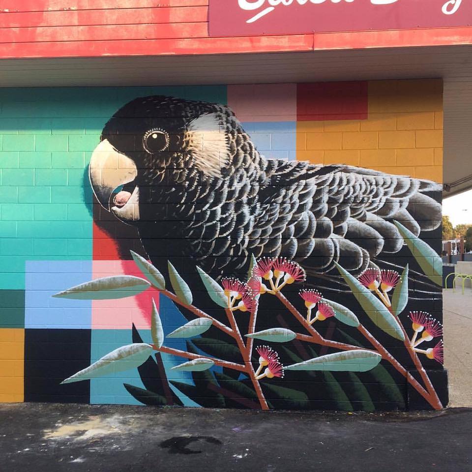 Kiwi's Angels: Brenton See parrots murals