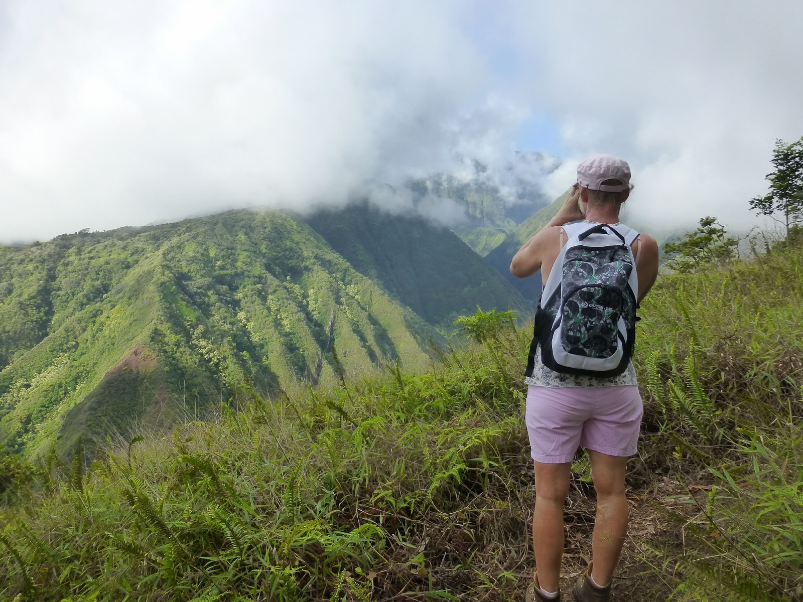 CHASE WORLD: Wild Boar Hunting in Maui